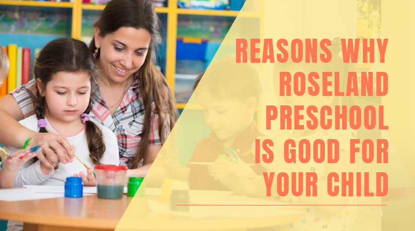 Roselands Preschool | Roselands Play Centre | Early Learning Centre